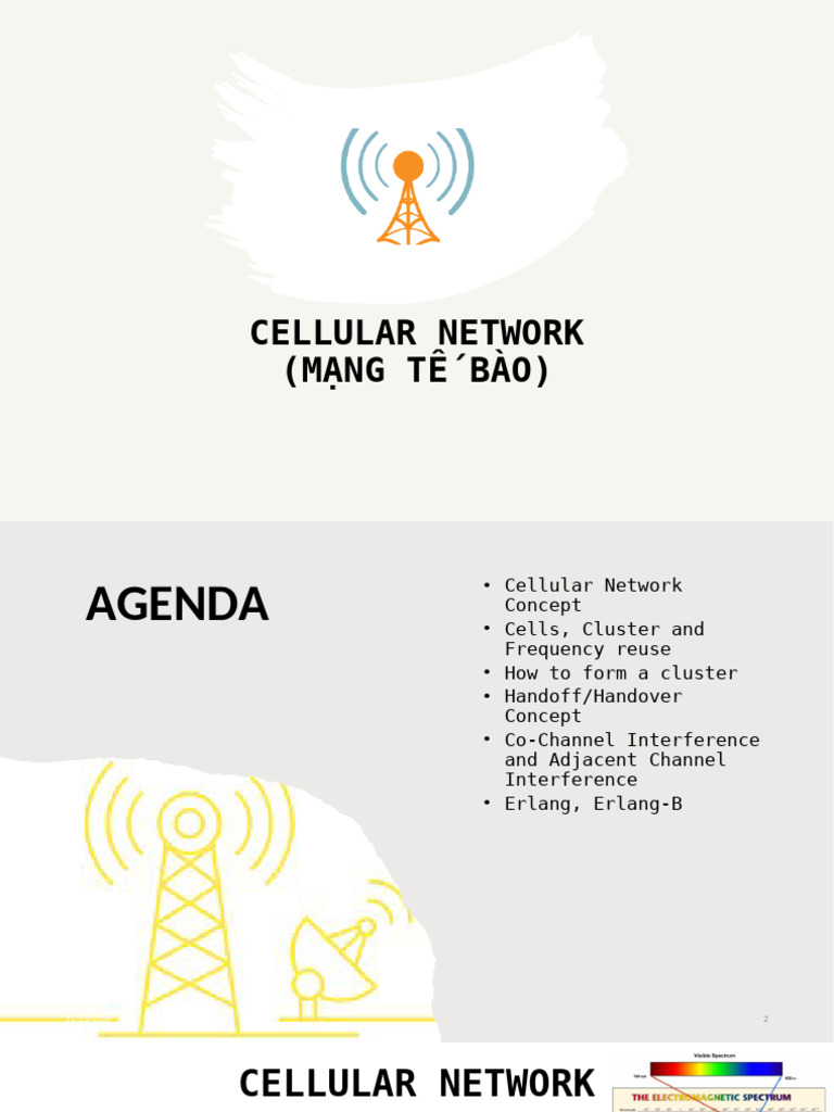 Chap03 - Cell Concepts | PDF