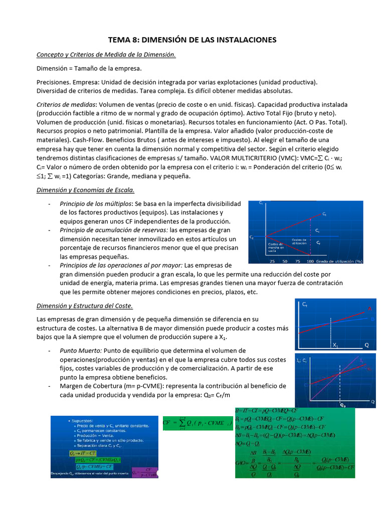 Tema 8 OGE | PDF | Business | Economias