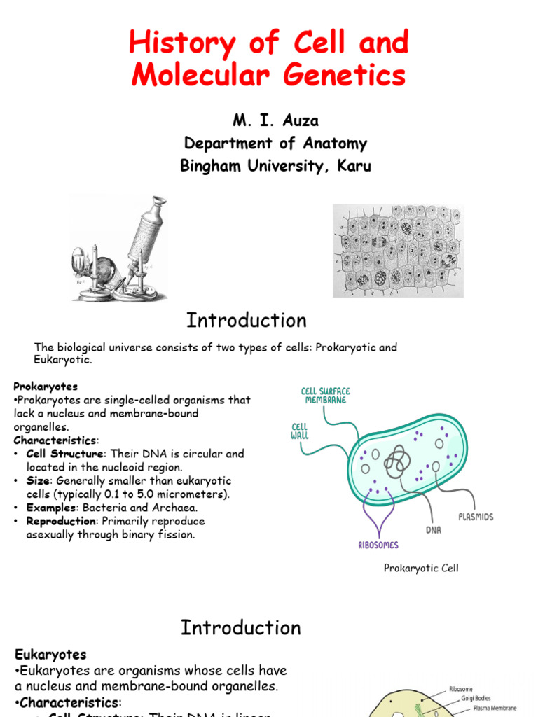 History of Cell and Molecular Genetics | PDF | Cellular Respiration ...