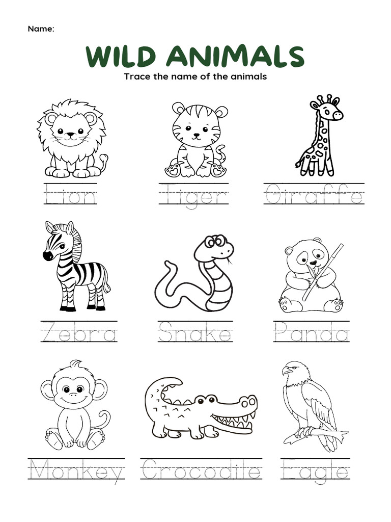 Wild Animals Identification Guide | PDF