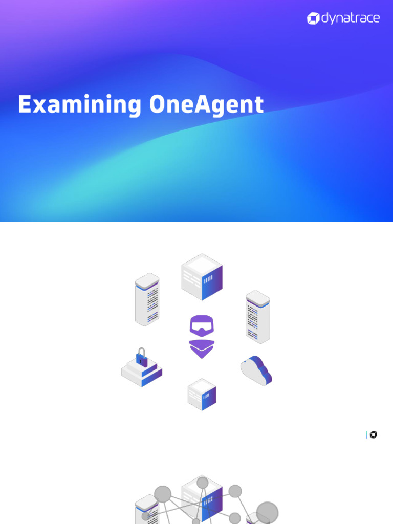 EXPDYN130 Examining OneAgent PPT | PDF | Home & Garden