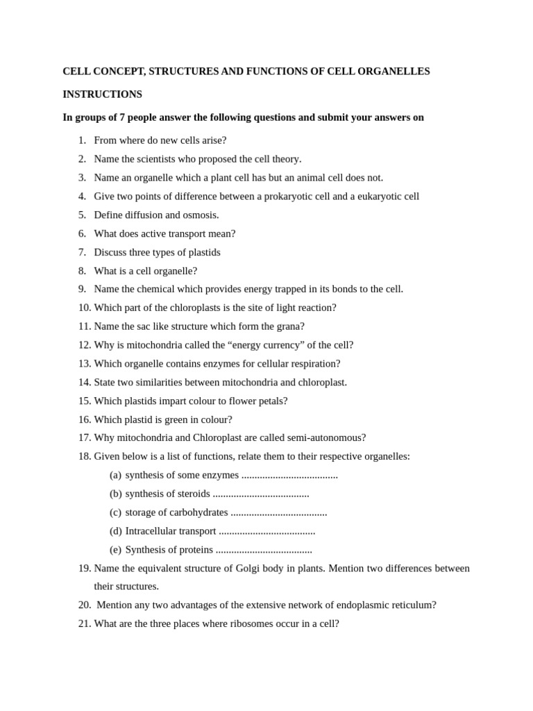 Questions Related To Cell Concept | PDF