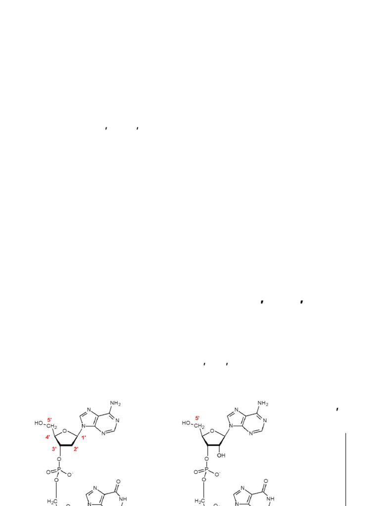 BMOL20090 Gene Expression in Eukaryotes 1 | PDF | Promoter (Genetics) | Rna