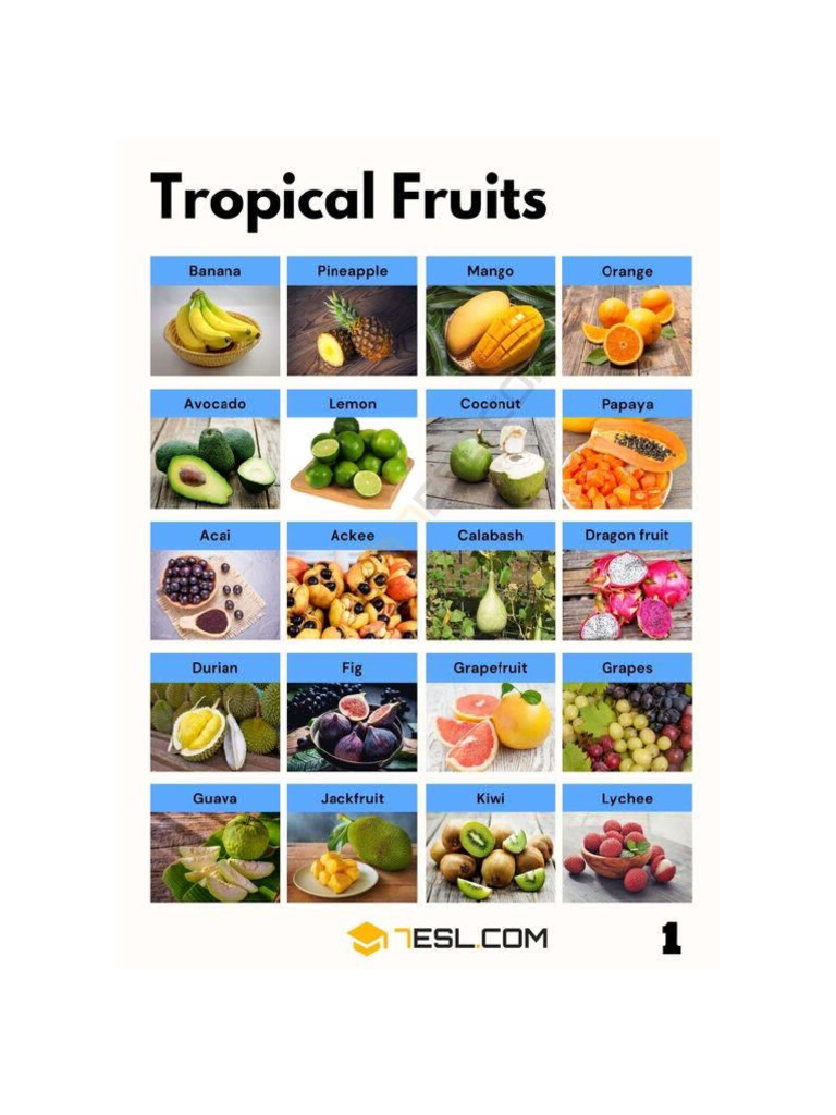 Tropical Fruits | PDF