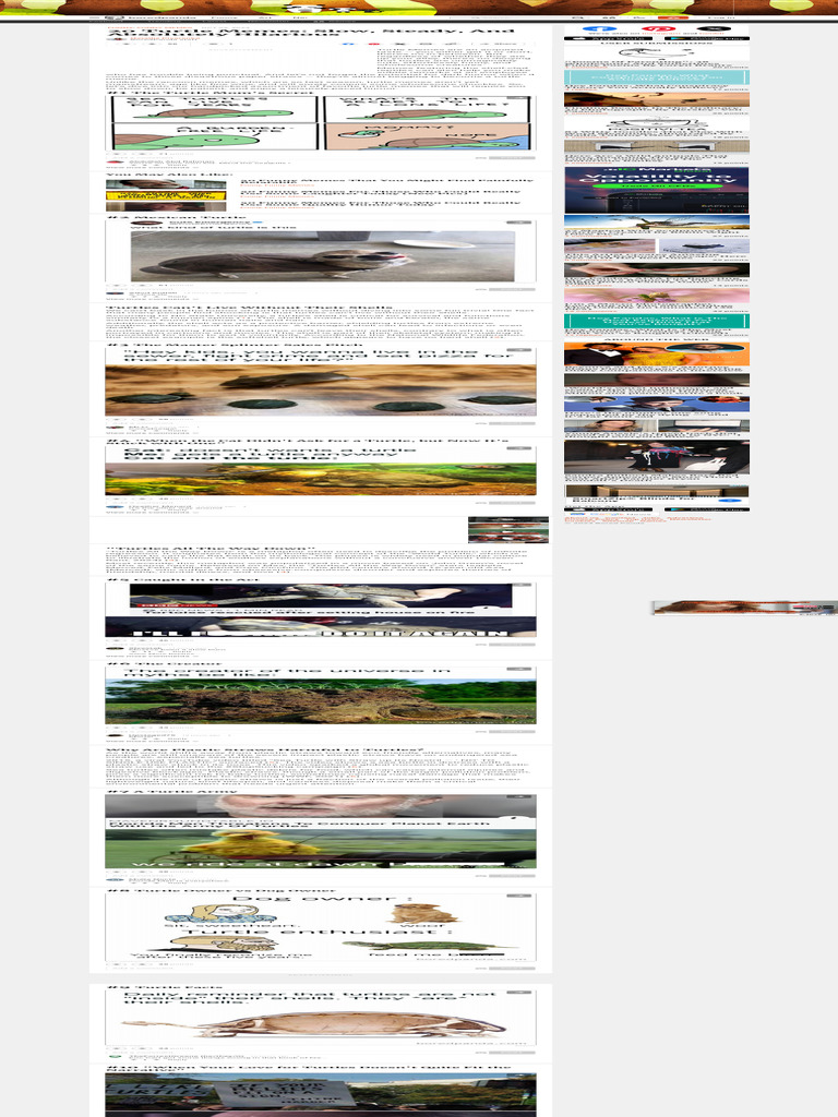 20 Turtle Memes Slow, Steady, and Absolutely Hilarious Bored Panda | PDF