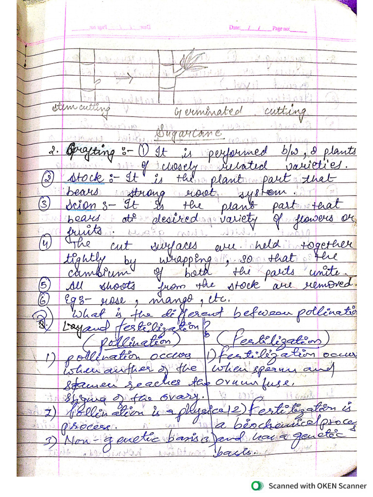 Asexual Reproduction Part 2 Pdf
