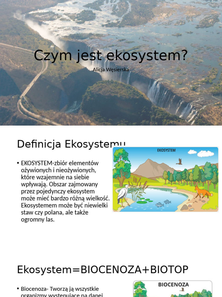 Czym Jest Ekosystem | PDF