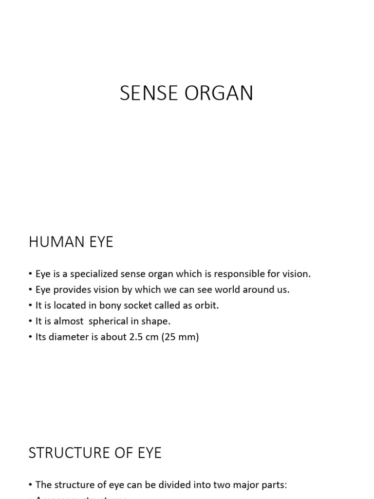 SENSE ORGAN | PDF | Ear | Hearing