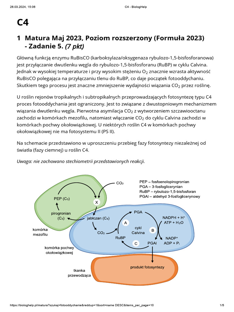 Fotooddychanie Zad | PDF