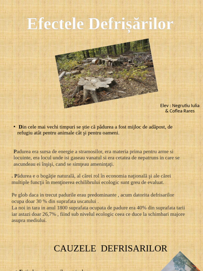 Efectele Defrișărilor | PDF