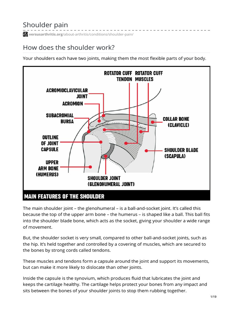 Shoulder Pain | PDF | Shoulder | Clinical Medicine