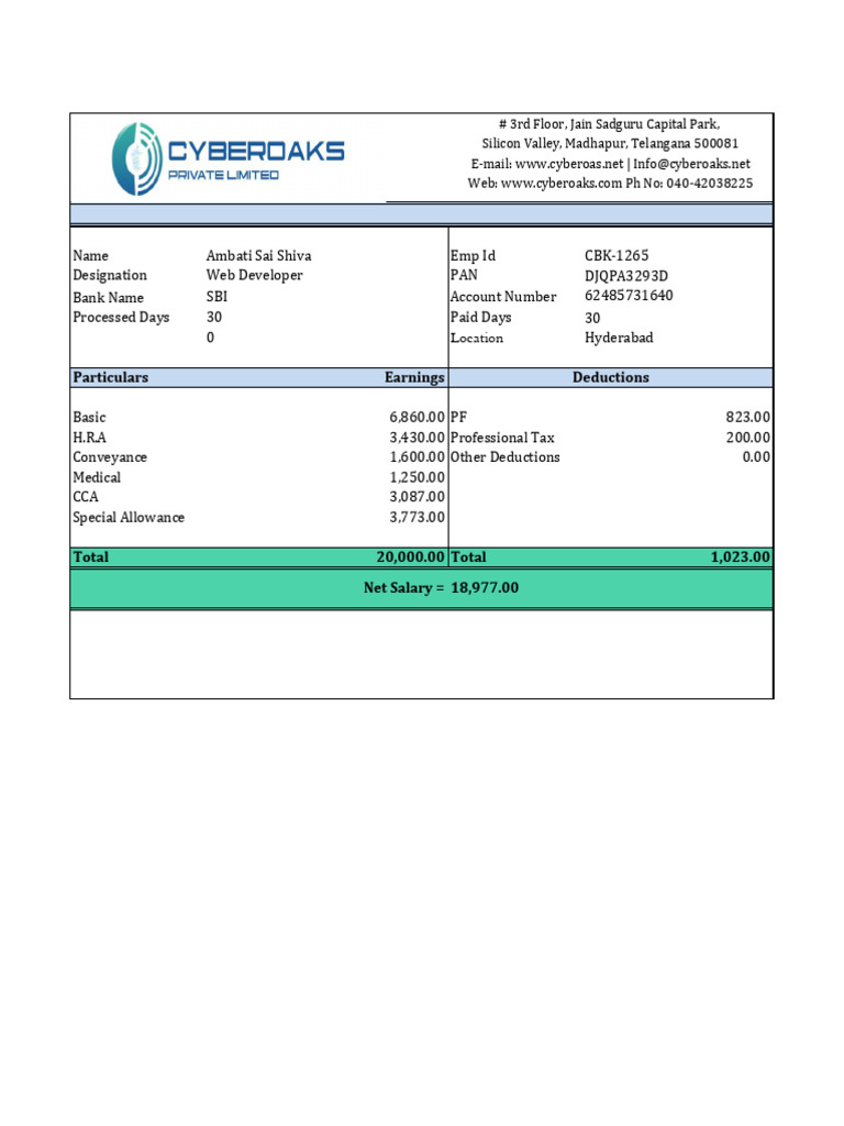 Payslip For The Month of September 2024: Particulars Earnings Deductions | PDF