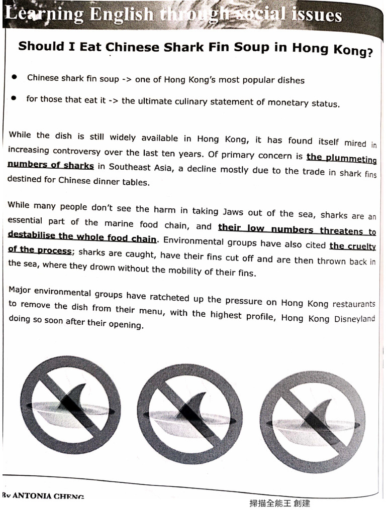 Shark Fin | PDF