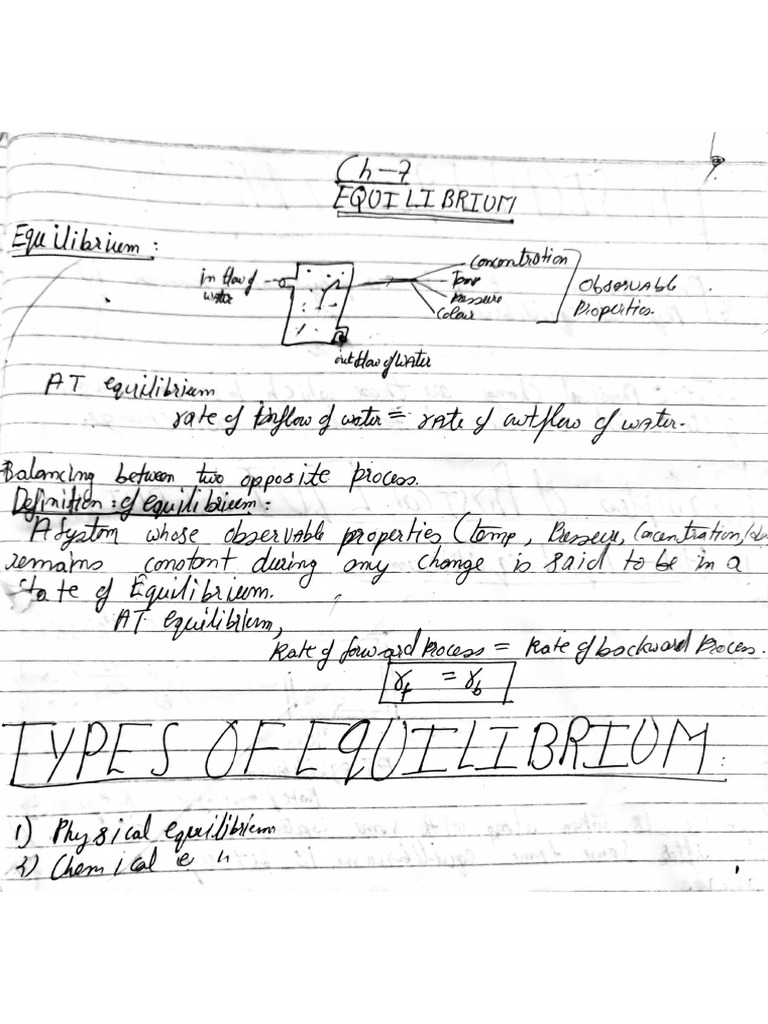 Equilibrium Notes | PDF