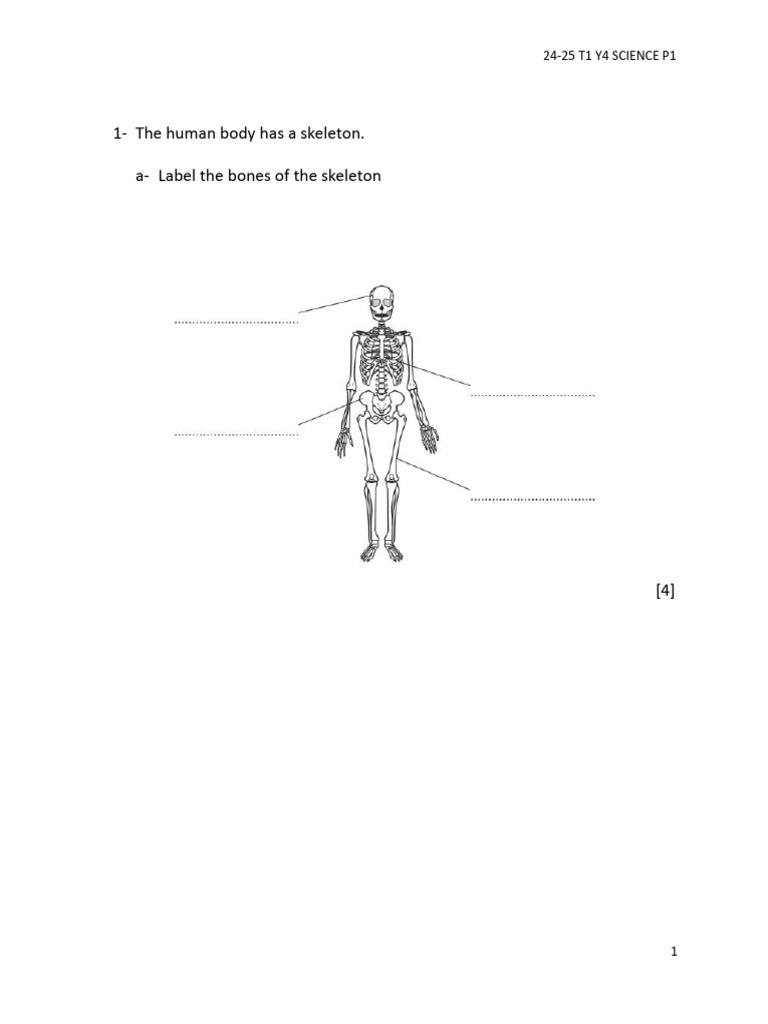 Y4 End of Term Assessment | PDF | Skeleton | Infection