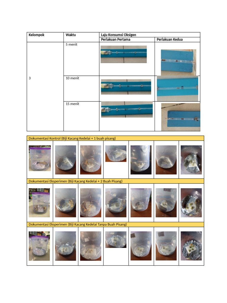 Tabel Plus Dokumentasi Respirasi Kelompok 3 | PDF