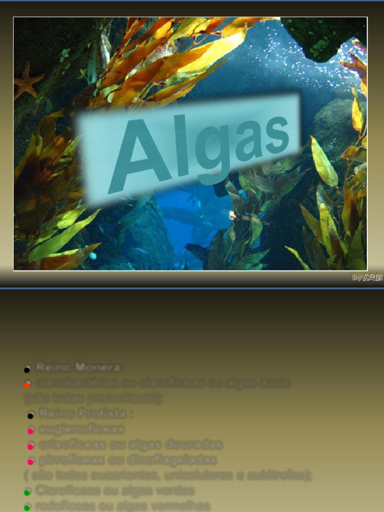 Algas | PDF | Algas | Fitoplâncton