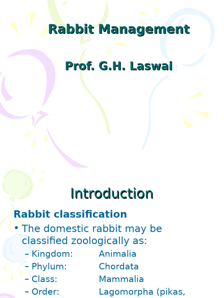 As 304 Rabbit Management (Autosaved) | PDF | Digestion | Rabbit