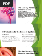 Our 8 Sensory Systems | PDF | Senses | Taste