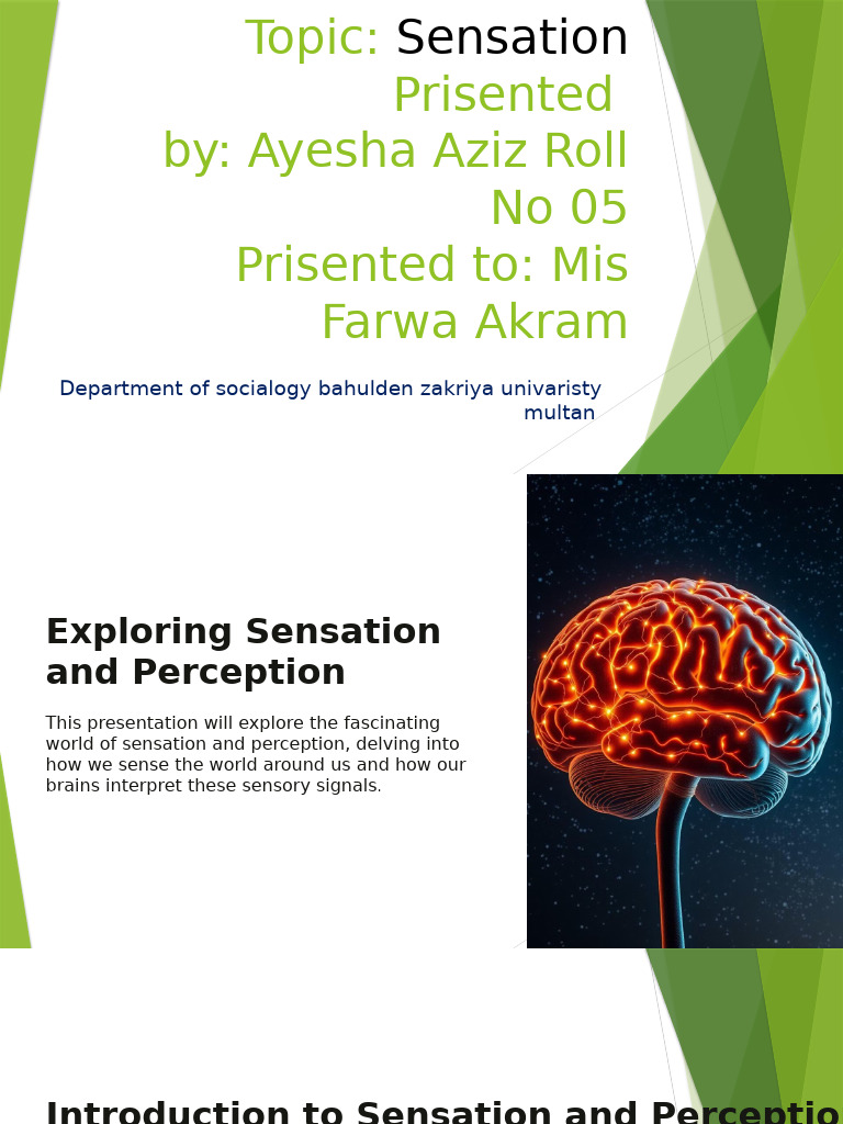 Sensation and Perception in Psycology | PDF | Senses | Perception