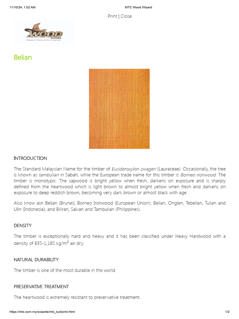 Attachment 6 Belian - MTC Wood Wizard | PDF | Wood | Trees