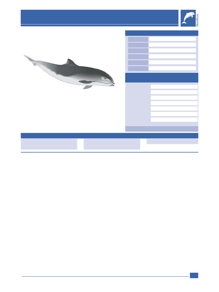 Marsopa Común: Características y Conservación | PDF | Cita | Cetacea