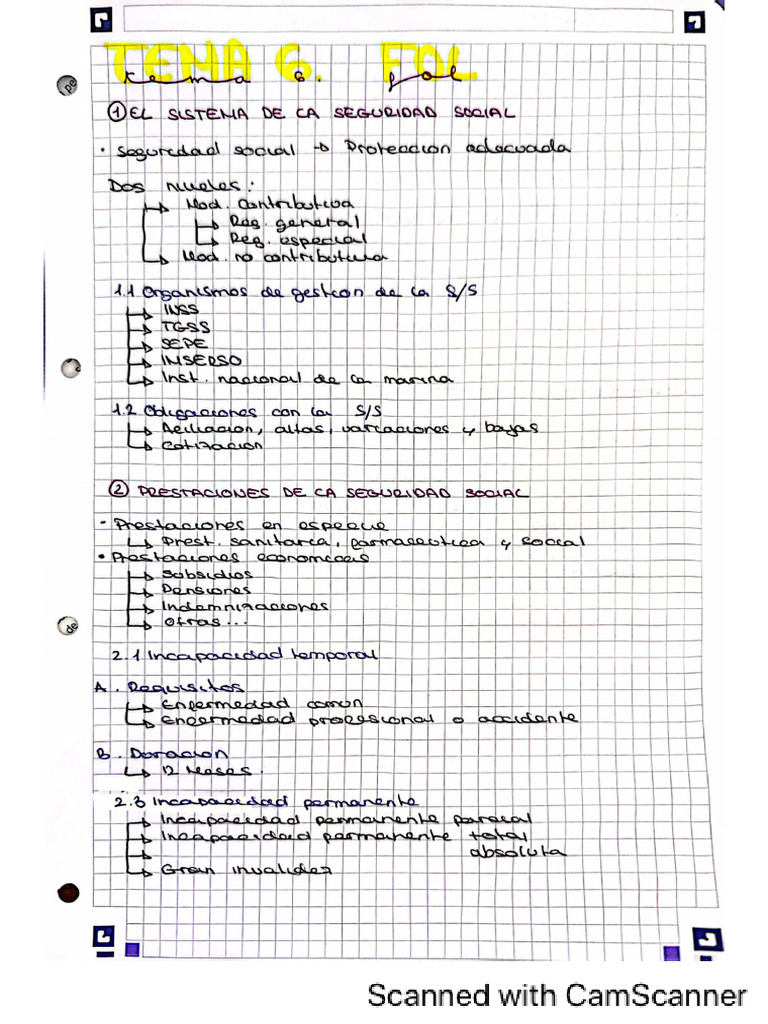 Tema 6 Fol Rsumen | PDF