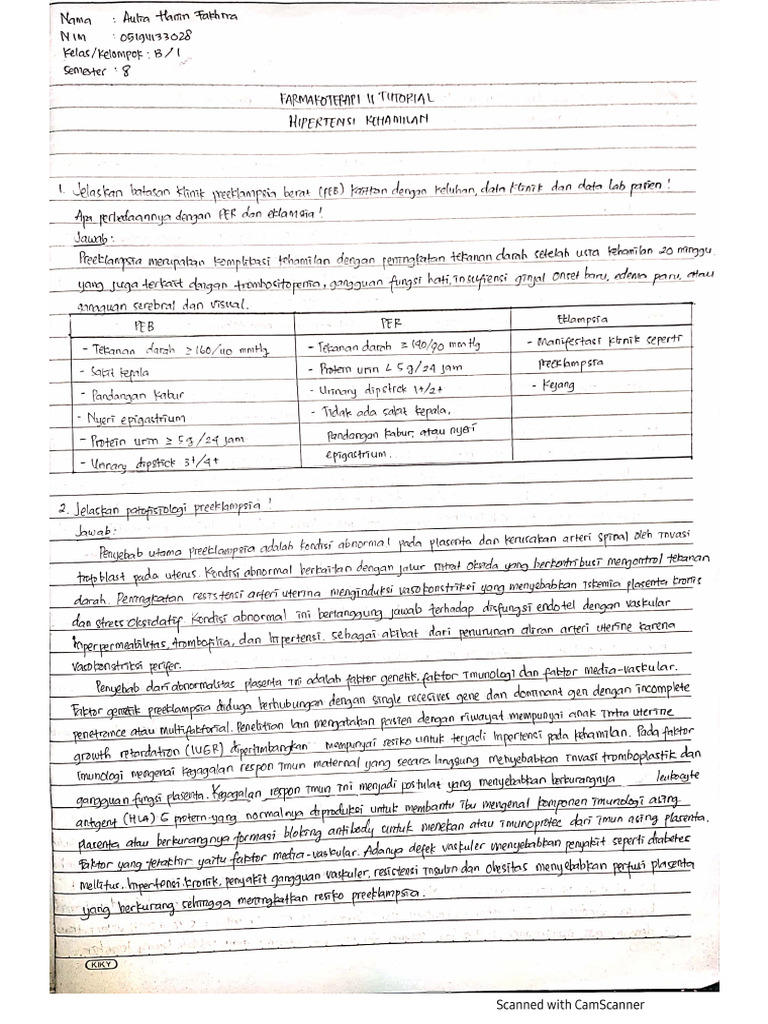 Farter Tutor Pre-Eklampsia | PDF
