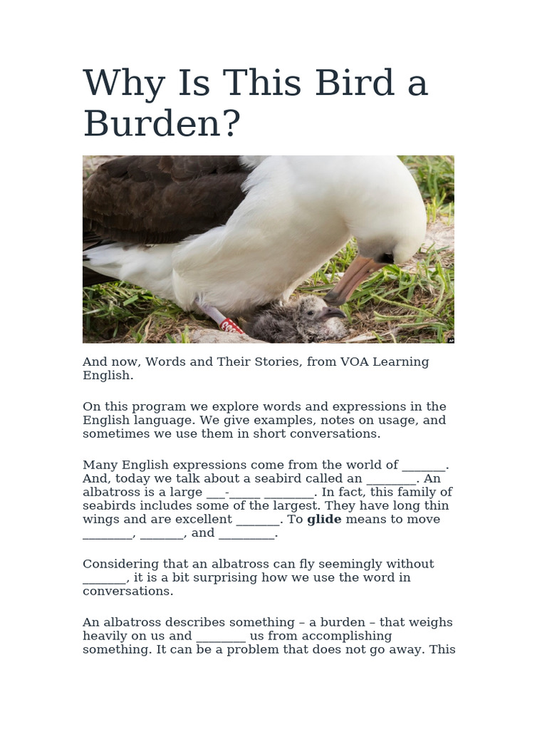 Why Is This Bird A Burden | PDF