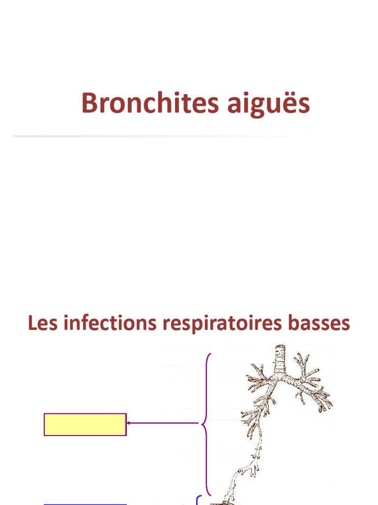 Bronchites Aigues 2024 | PDF | Pneumologie | Microbiologie