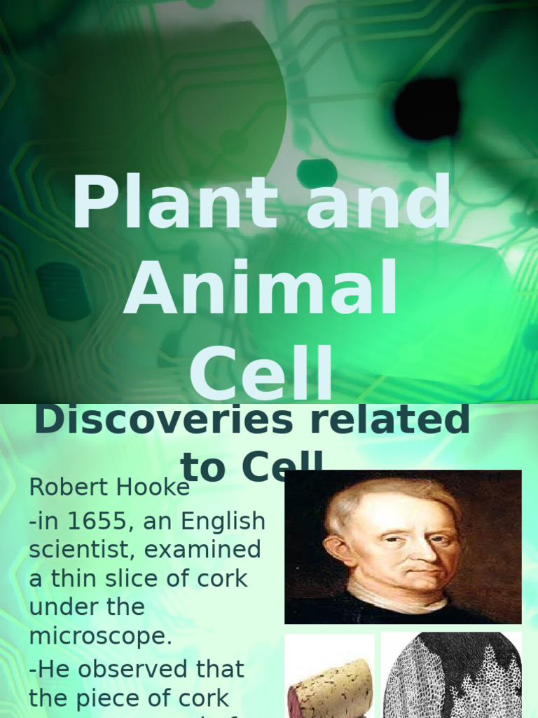 Cell Discoveries and Structures | PDF | Endoplasmic Reticulum | Cell ...