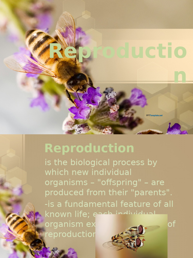 REPRODUCTION - Grade 7 | PDF | Flowers | Reproduction