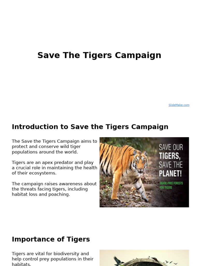 Save The Tigers Campaign | PDF | Technology & Engineering
