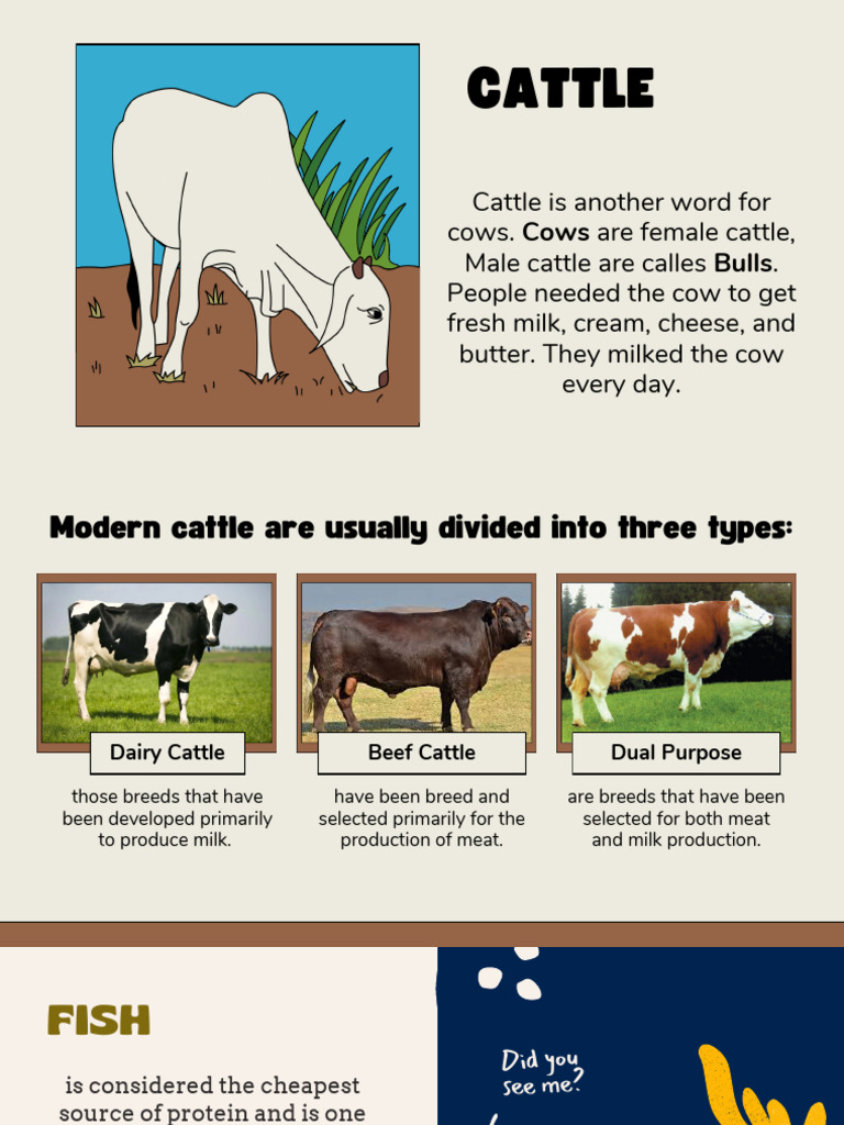CATTLE | PDF