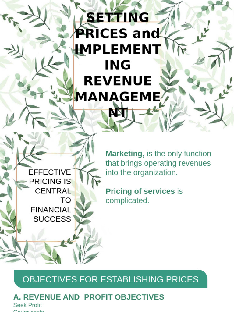 Effective Pricing and Revenue Strategies | PDF | Pricing | Prices