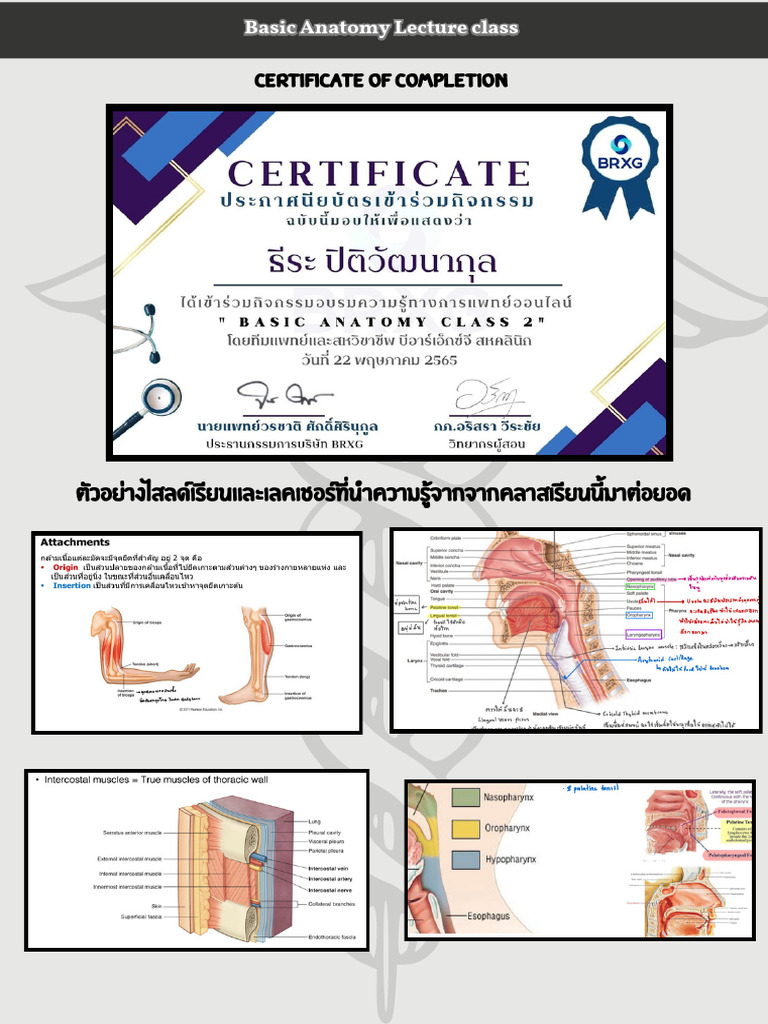 Anatomy Lecture | PDF