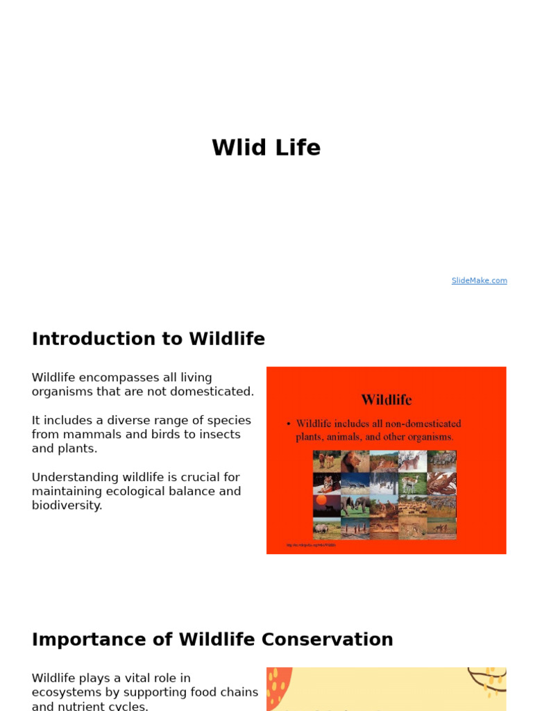 Wlid Life | PDF
