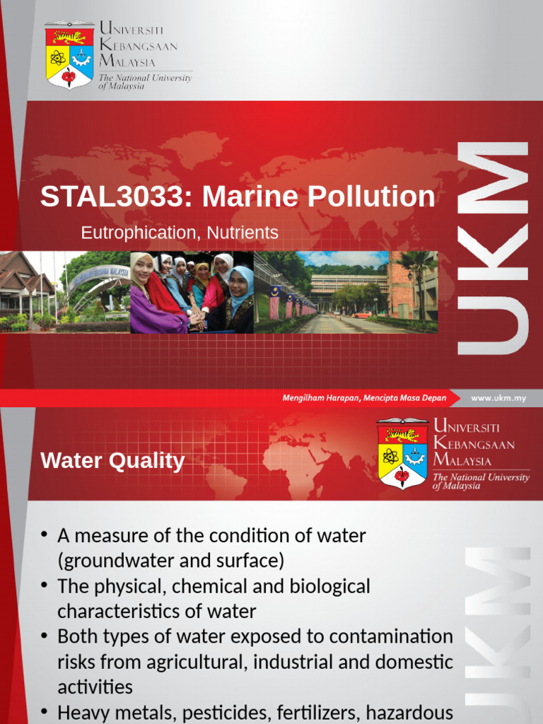 Lect 5-6 Eutrophication | PDF | Eutrophication | Cyanobacteria