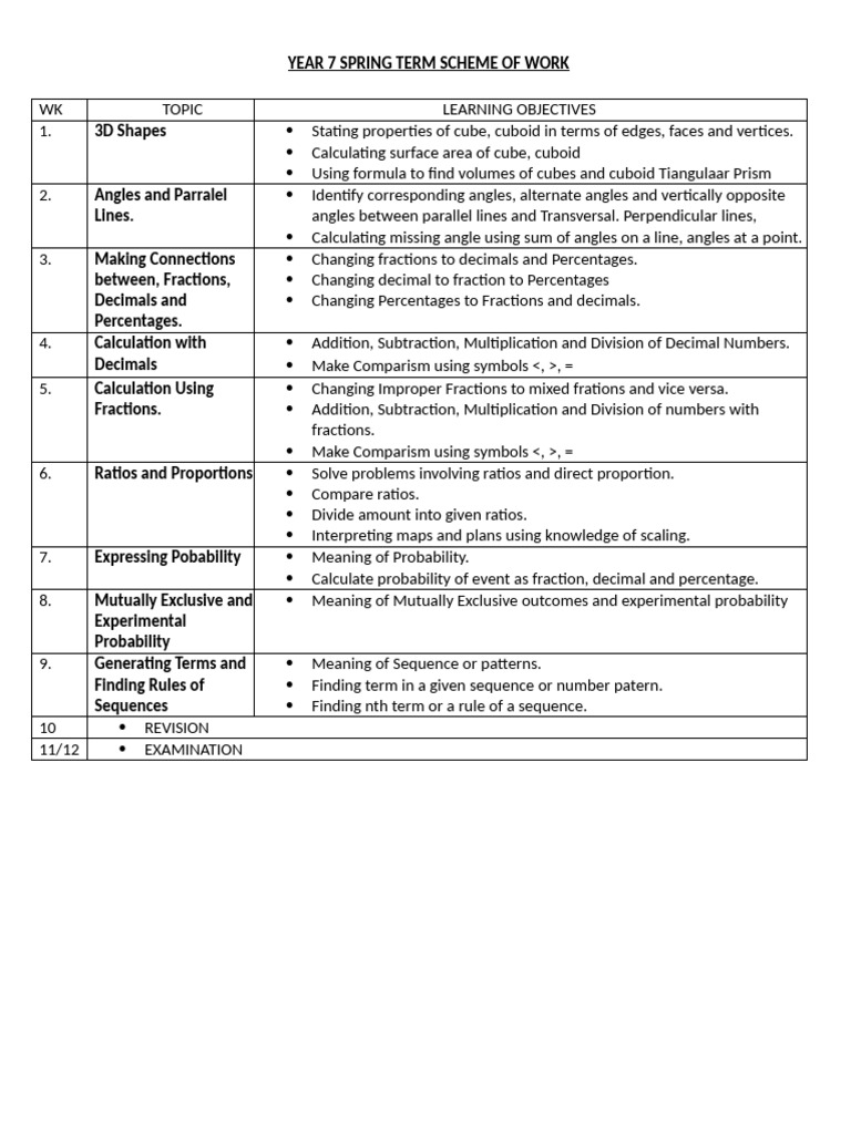 Year 7 Math Curriculum Overview | PDF