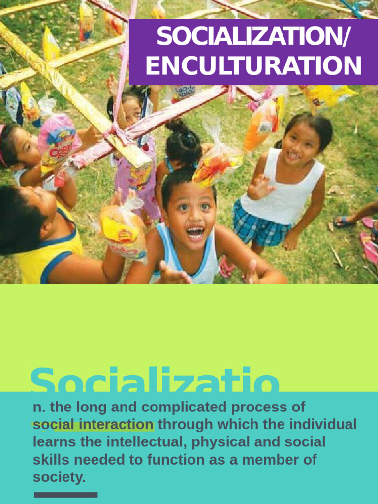 SOCIALIZATION | PDF