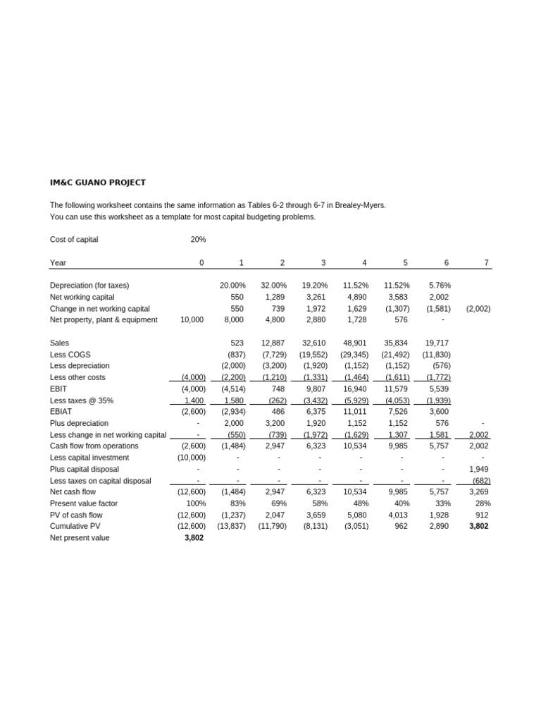 Template | PDF | Depreciation | Net Present Value