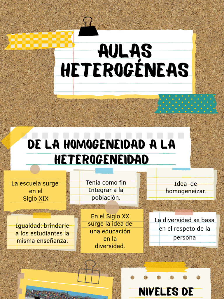 Aulas Heterogéneas | PDF | Enseñando | Cognición