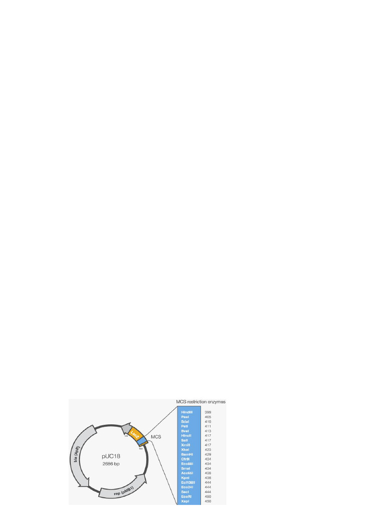 Blue-White Screening in Bacterial Cloning | PDF | Molecular Cloning ...