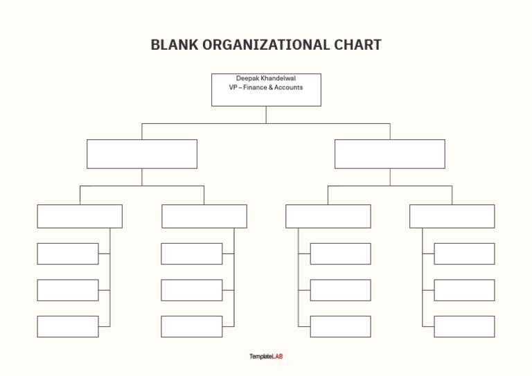 Blank Organizational Chart | PDF