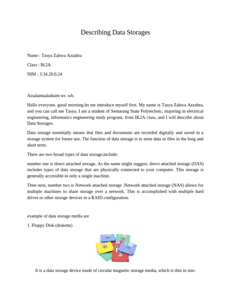 Describing Data Storage | PDF