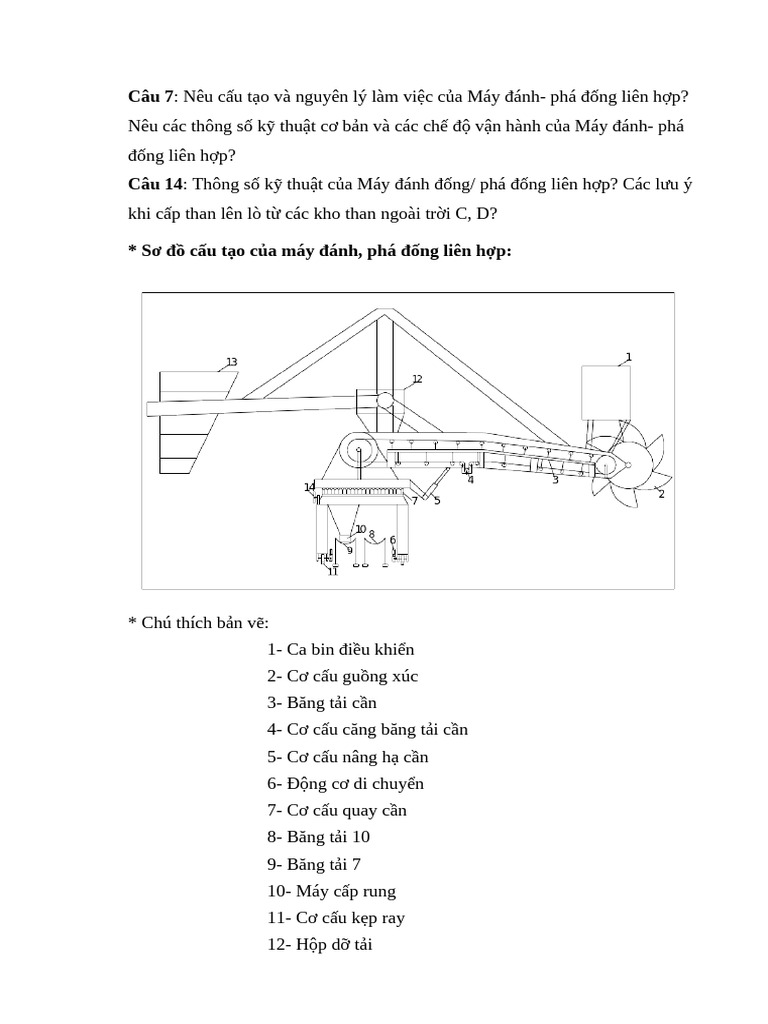 Ðáp Án Cau 7+14 NL | PDF