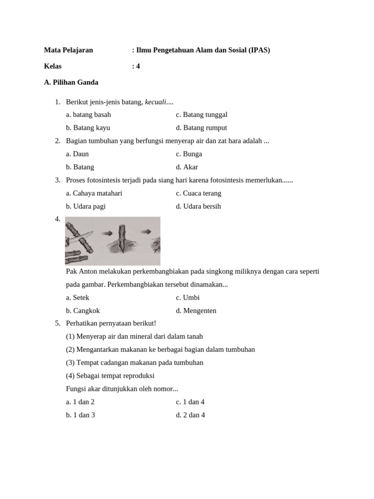 Soal IPA Kelas 4 SD | PDF | Sains & Matematika | Dewasa Muda