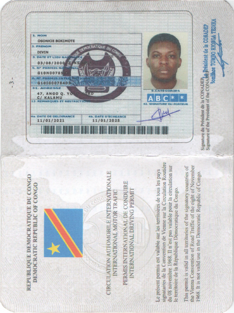 License's Driver | PDF