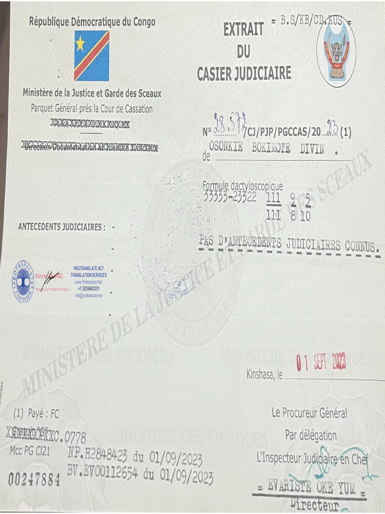 Criminal Record Extract | PDF