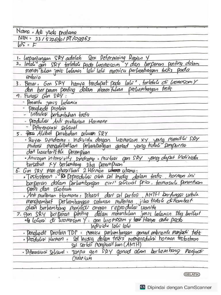 Tugas Pengganti Kuliah - Adi Yuda Pratama - 522690 | PDF